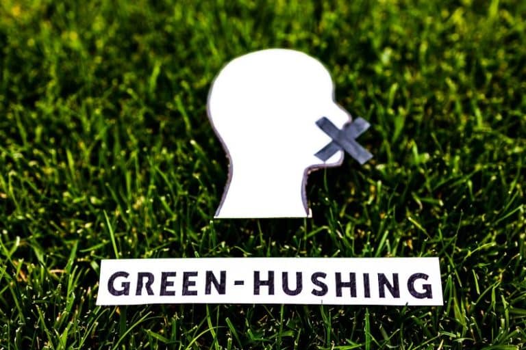 What Is Greenwashing In Fashion? How To Spot False Sustainability ...